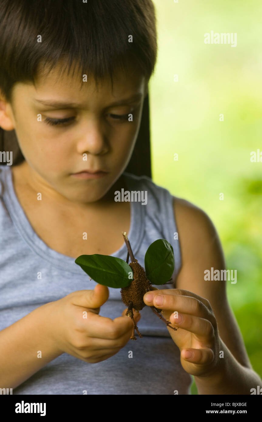 Child building a simple organic toy made from leaves Stock Photo - Alamy