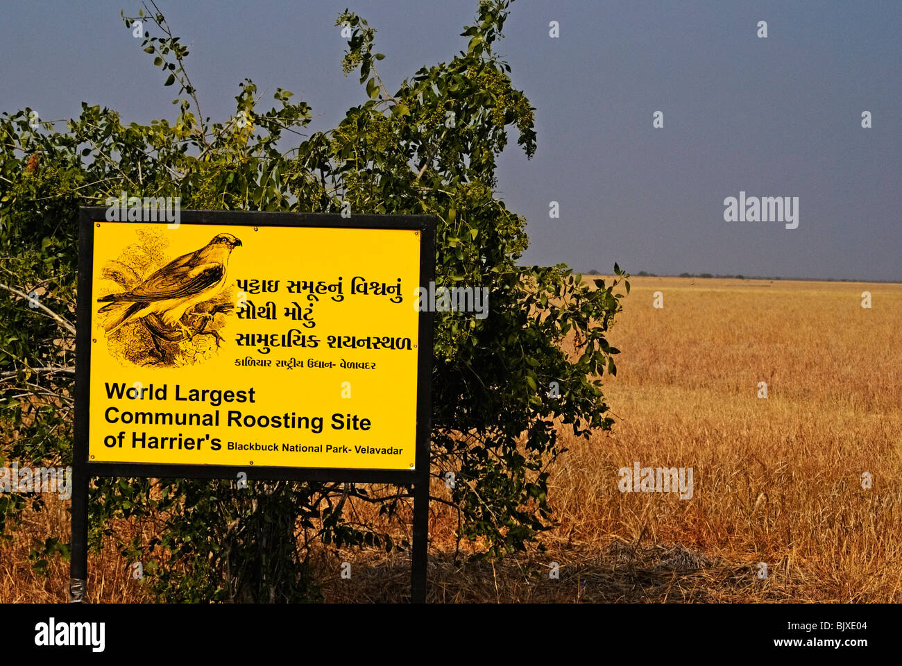 Indian sign board hi-res stock photography and images - Alamy