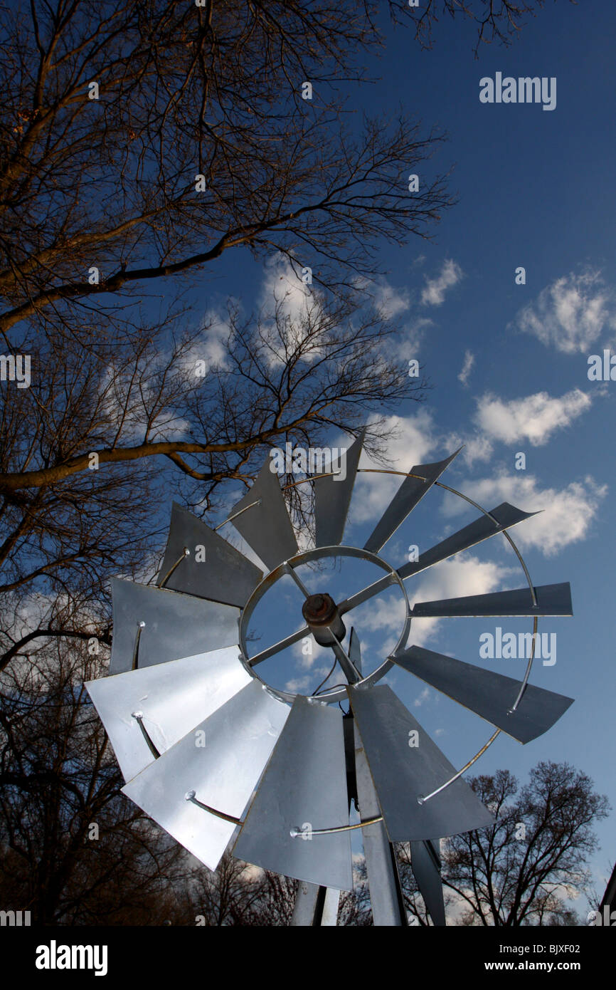 Decorative windmill with bare oak tree limbs and small clouds Stock ...