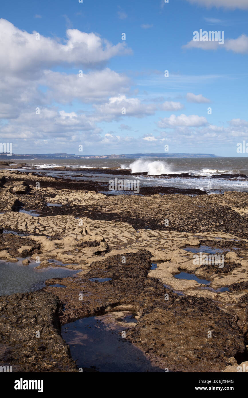 The natural rock promontory of Filey Brigg. Filey is a traditional ...