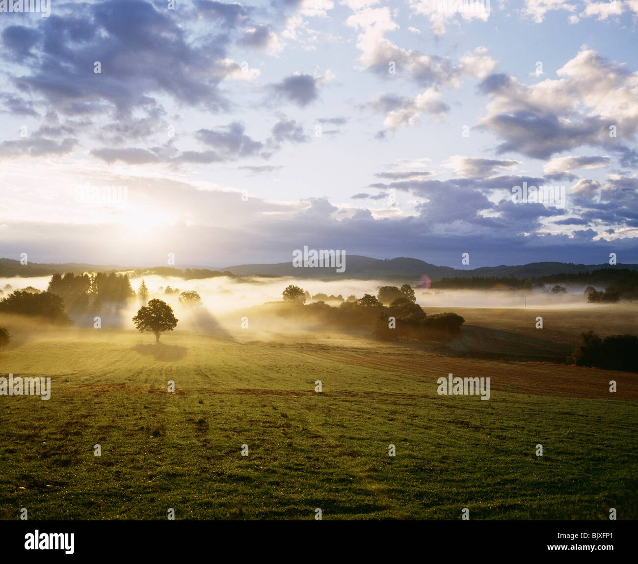 The limousin france hi-res stock photography and images - Alamy
