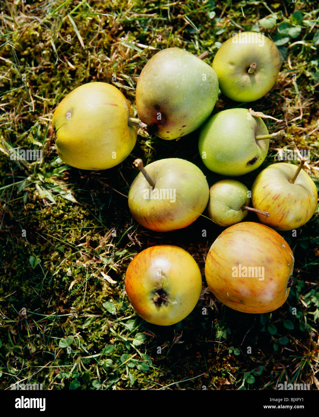Group on ground hi-res stock photography and images - Alamy