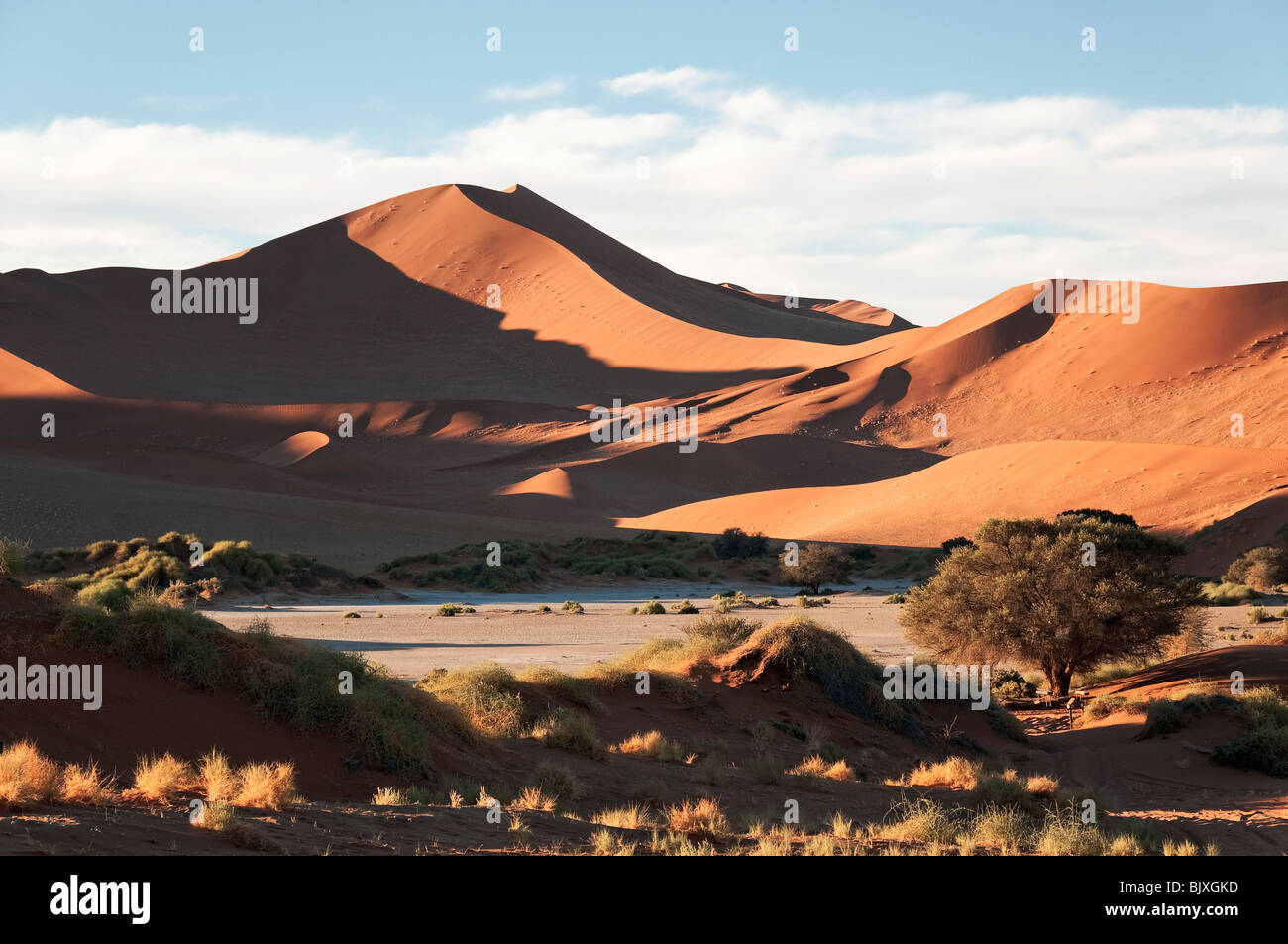 The red dunes of sossusvlei hi-res stock photography and images - Alamy