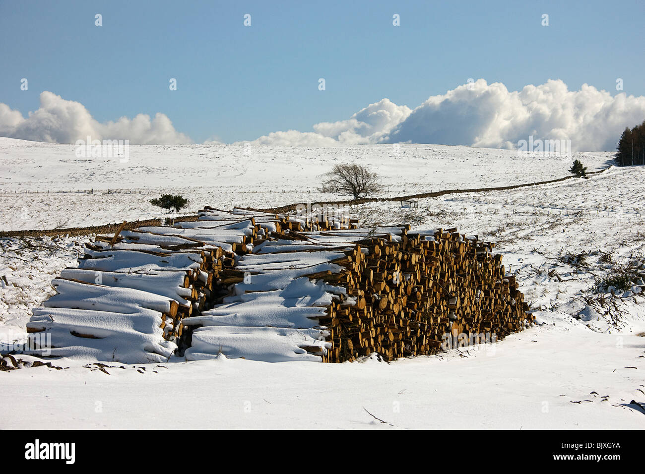 Duns scotland borders hi-res stock photography and images - Alamy