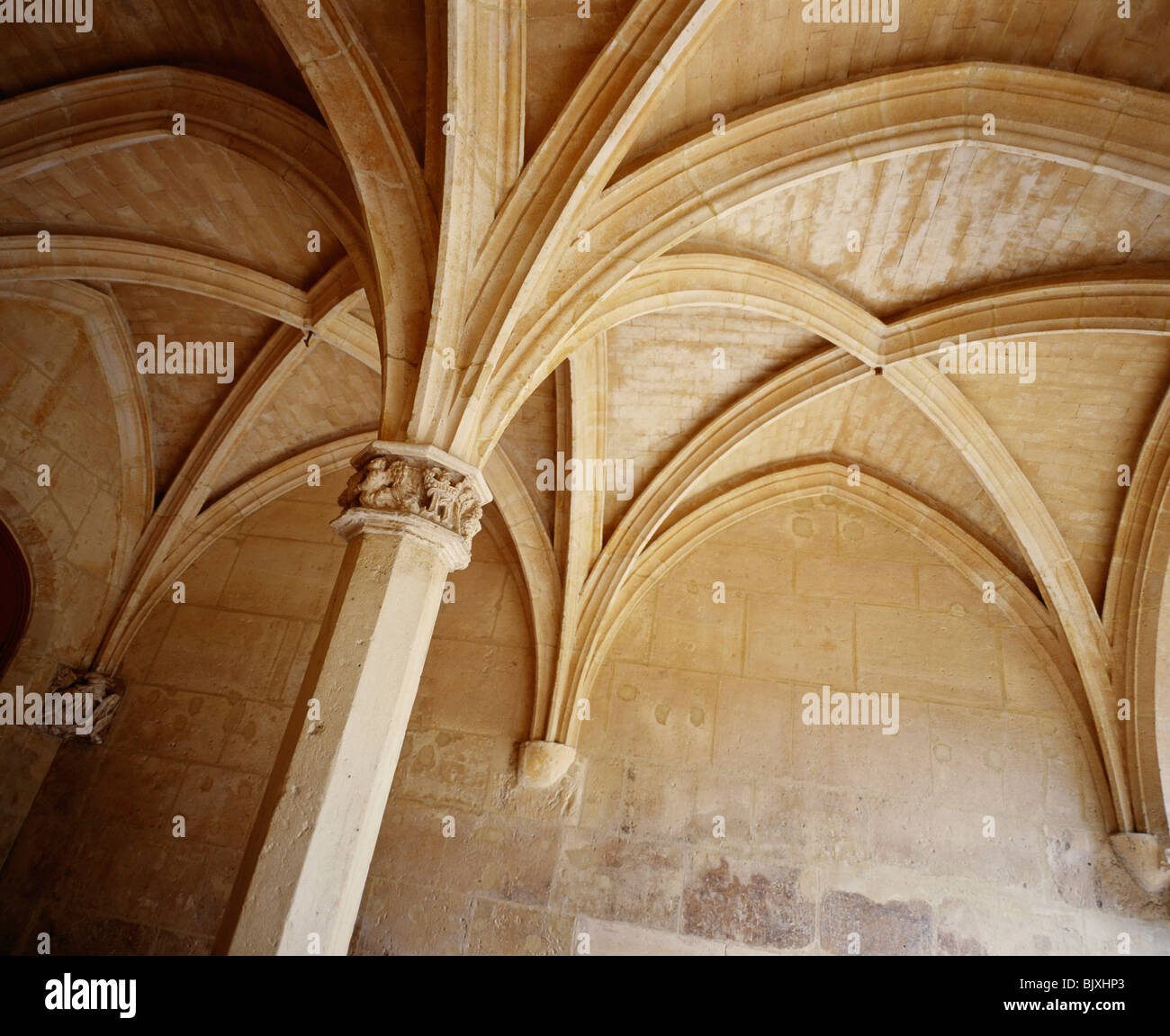 Roof arched hi-res stock photography and images - Alamy