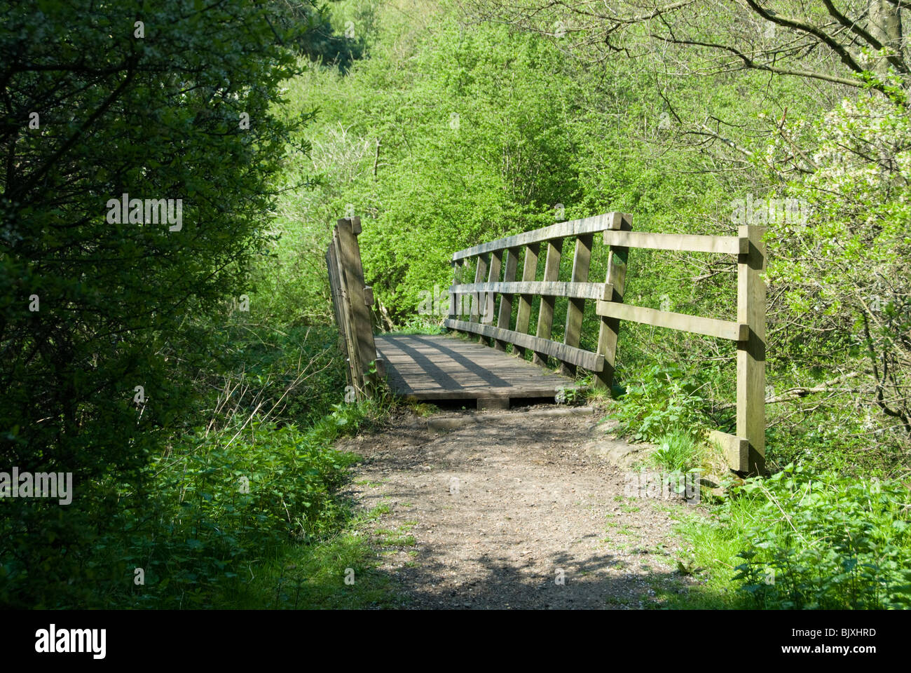 Peddars Way and Norfolk Coast Path National Trail foot bridge over the ...