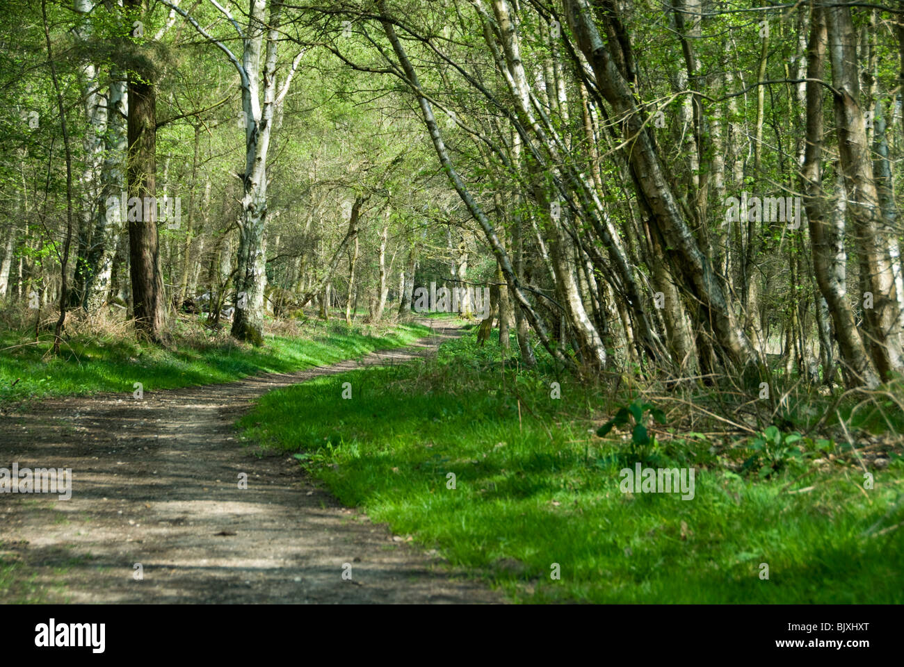 Peddars Way and Norfolk Coast Path National Trail between Blackwater ...