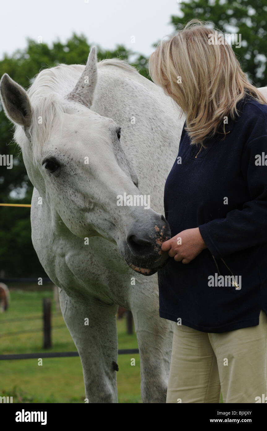 woman with Holsteiner horse Stock Photo - Alamy