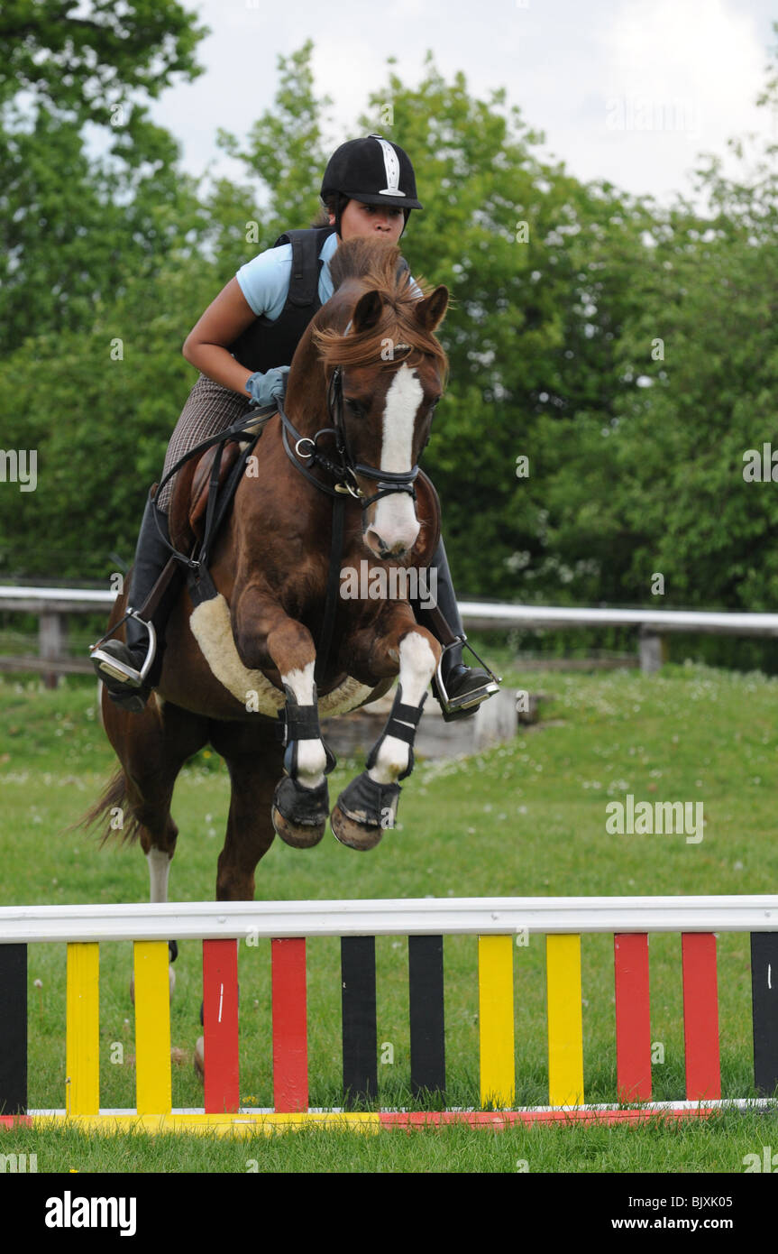 Jumping pony hi-res stock photography and images - Alamy