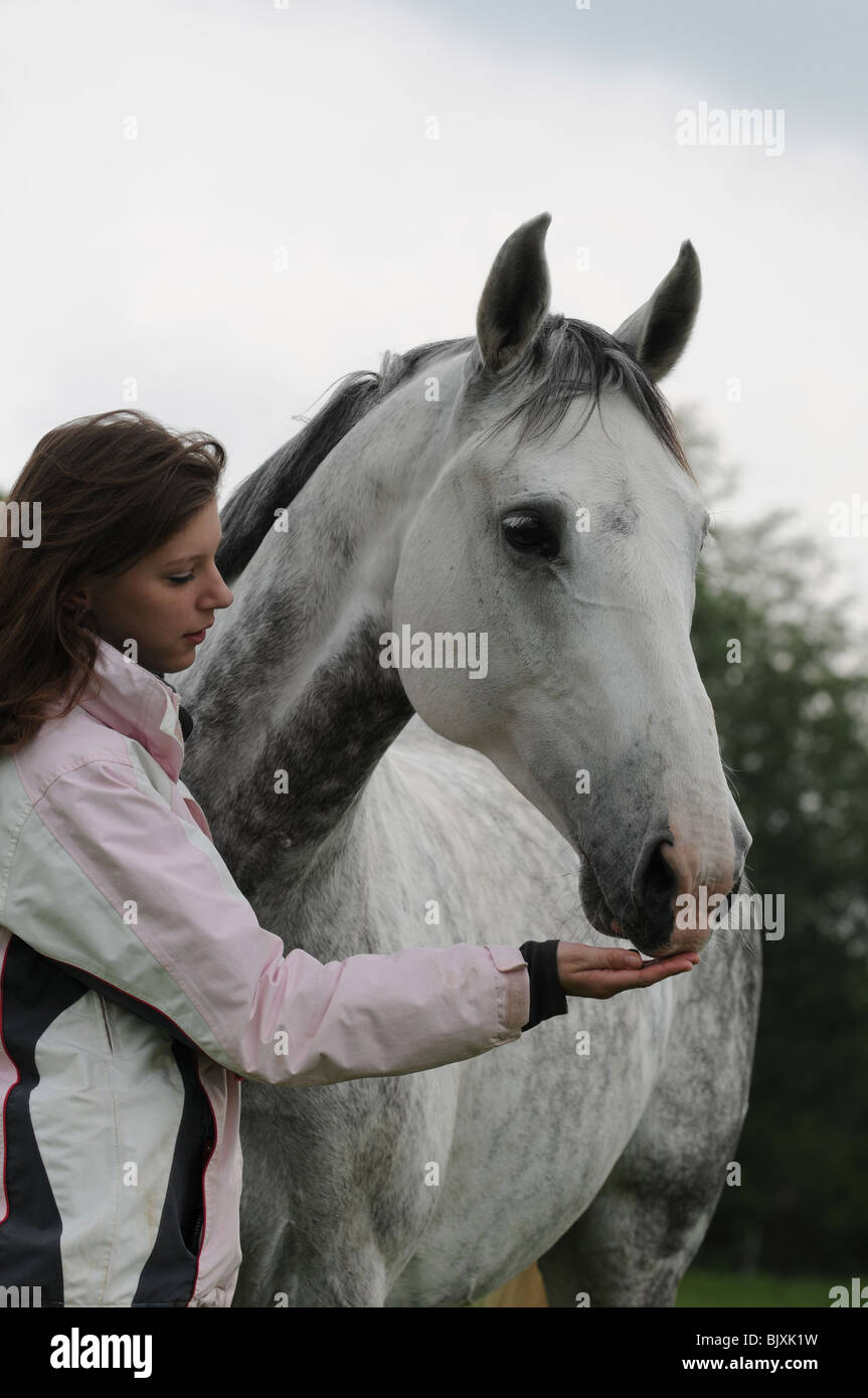woman with Holsteiner horse Stock Photo - Alamy