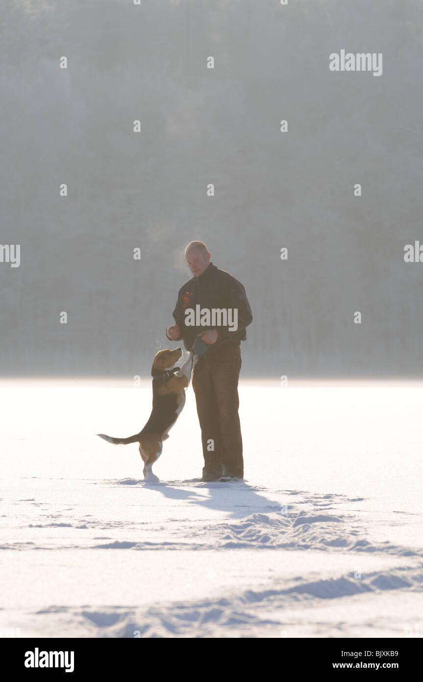 man and beagle Stock Photo - Alamy