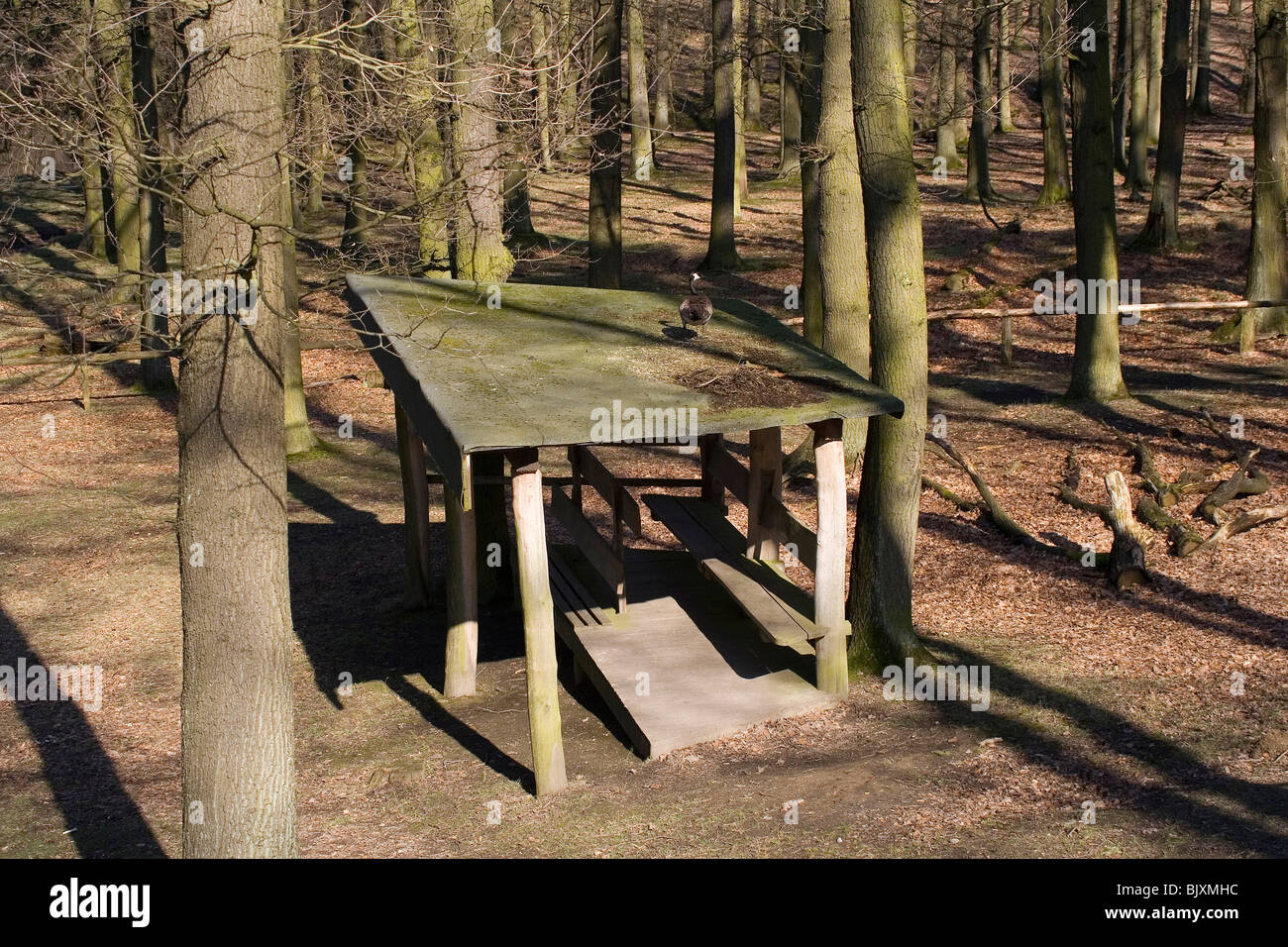 Goose hut hi-res stock photography and images - Alamy