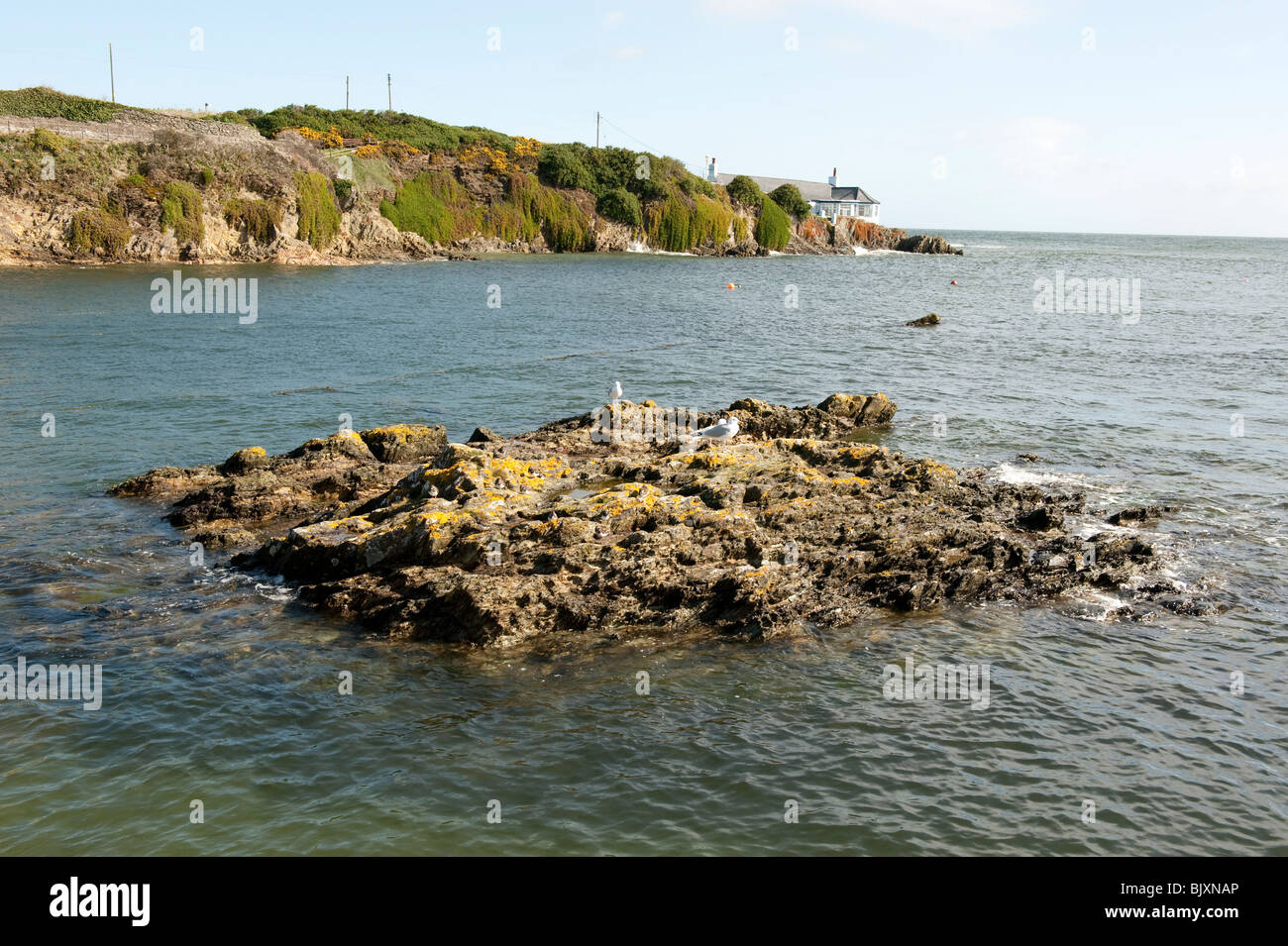 Bull Bay Anglesey North Wales UK Stock Photo - Alamy