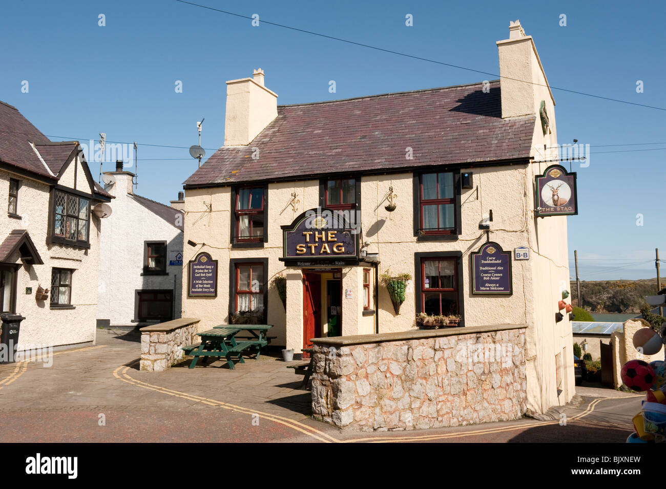 The Stag at Cemaes Bay Anglesey North Wales UK Stock Photo - Alamy