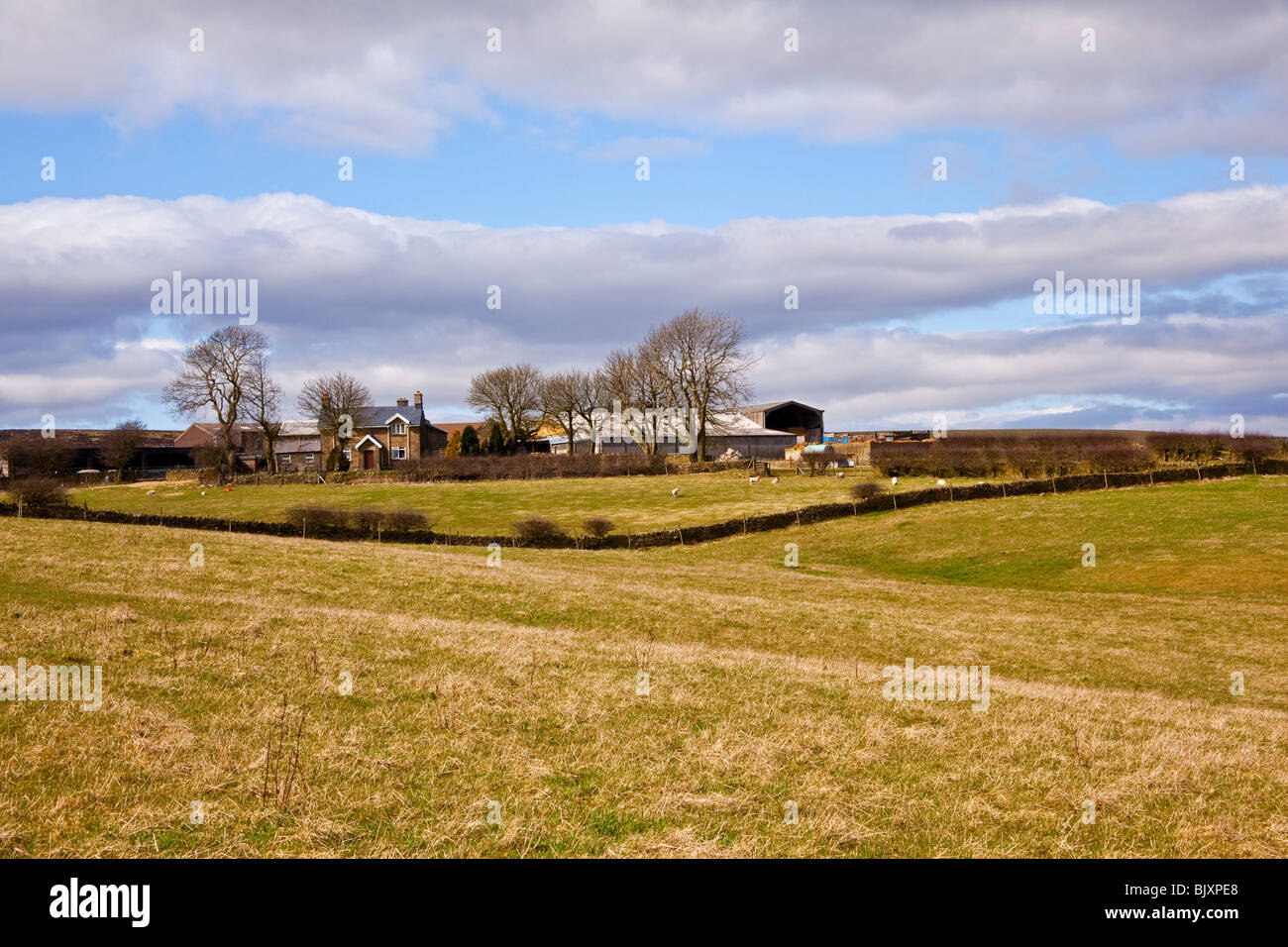 A farm on the near Sheffield South Yorkshire England UK Stock Photo - Alamy