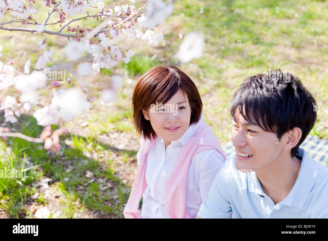 Picnic cherry blossoms hi-res stock photography and images - Alamy