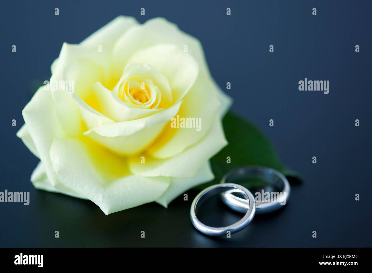 Rose colored ring hi-res stock photography and images - Alamy