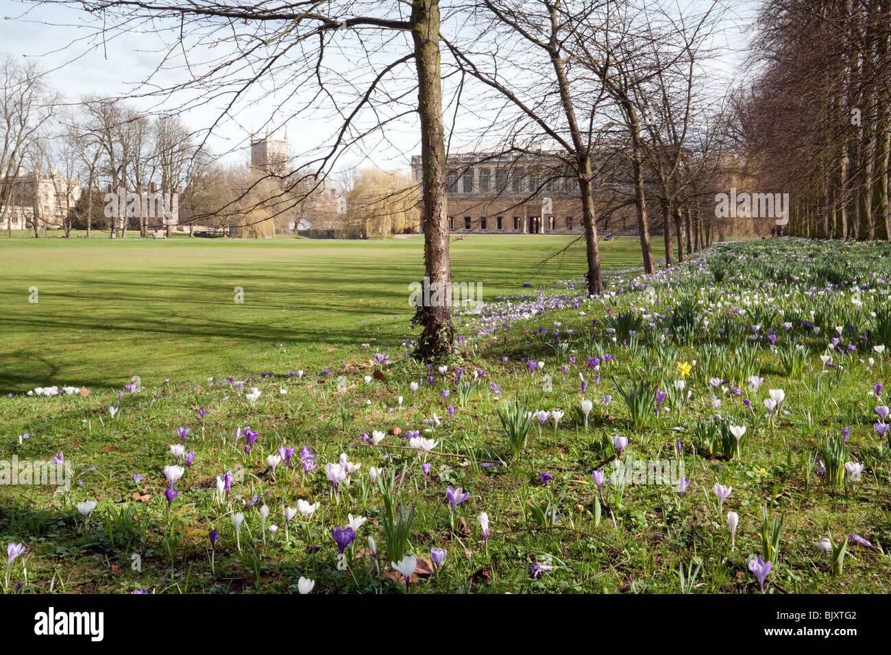 Old cambridge college scene hi-res stock photography and images - Alamy
