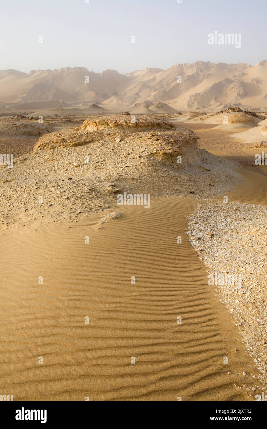 Rippled sand dune and limestone bed banking the escarpment at Dakhla ...
