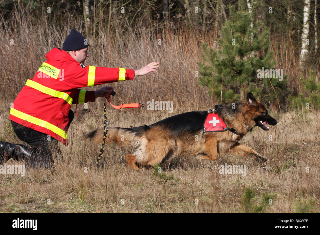 Man saving dog hi-res stock photography and images - Alamy