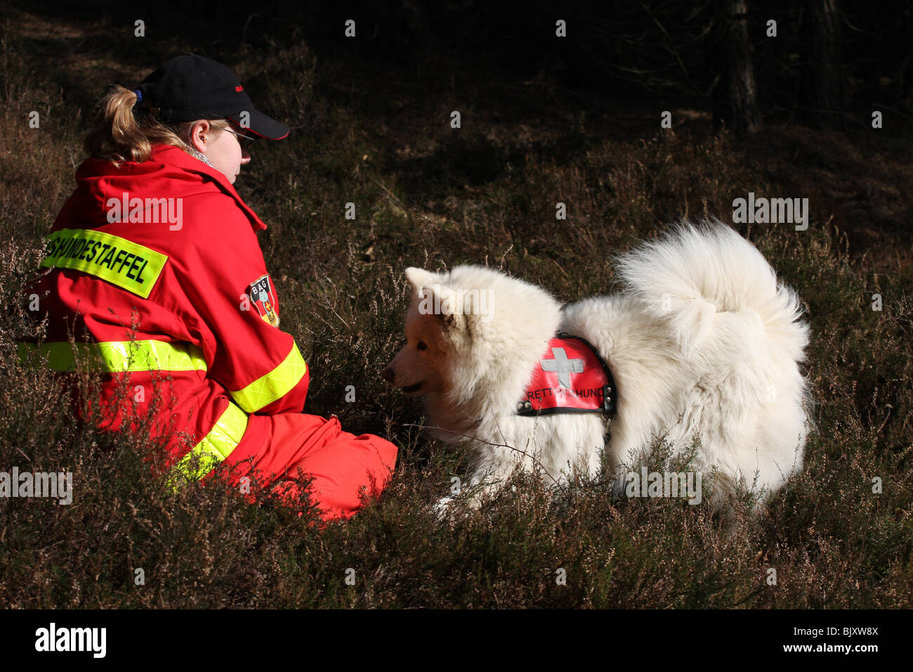Sled dog rescue hi-res stock photography and images - Alamy