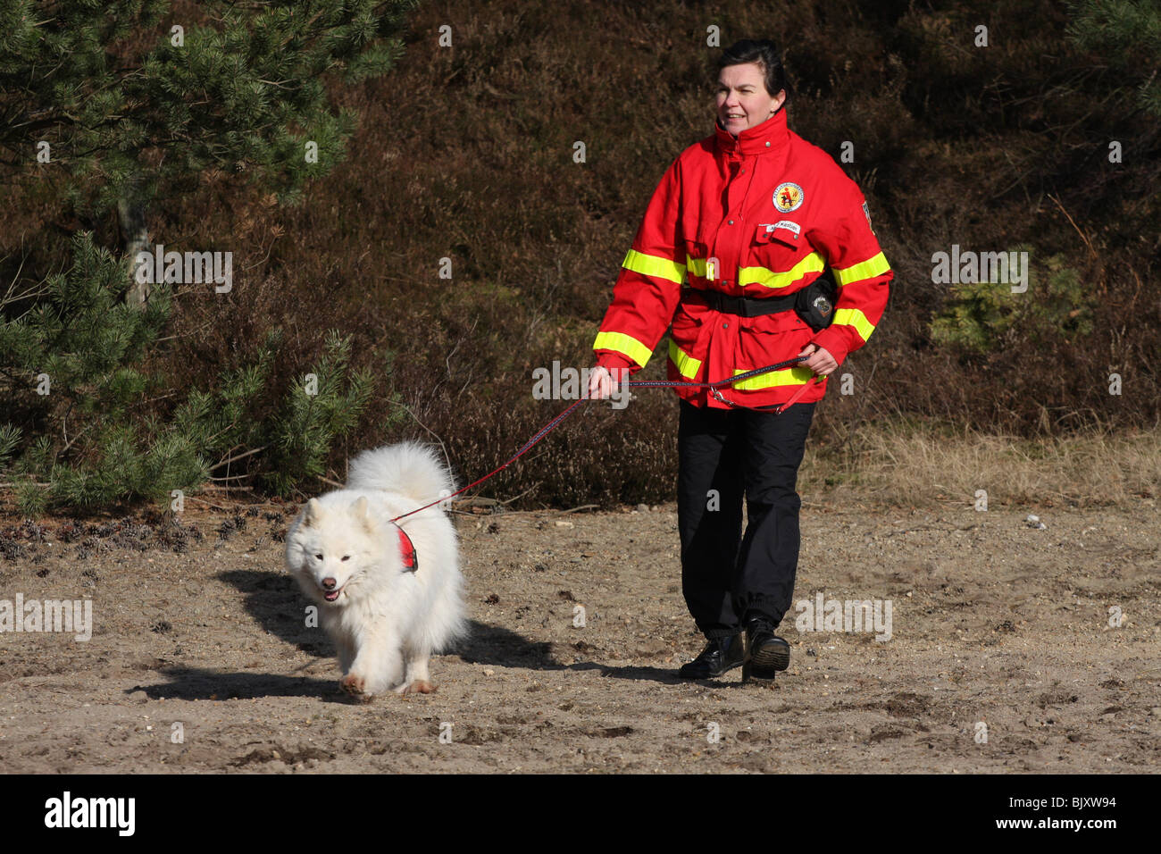 Go to ground dog hi-res stock photography and images - Alamy