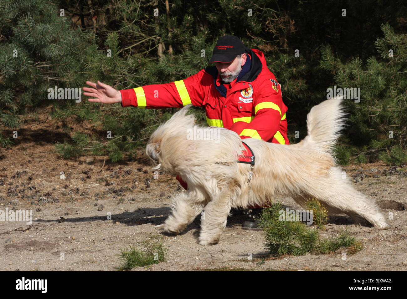 Man saving dog hi-res stock photography and images - Alamy