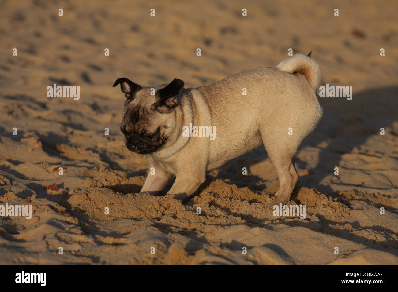 Sinking sand ground earth hi-res stock photography and images - Alamy