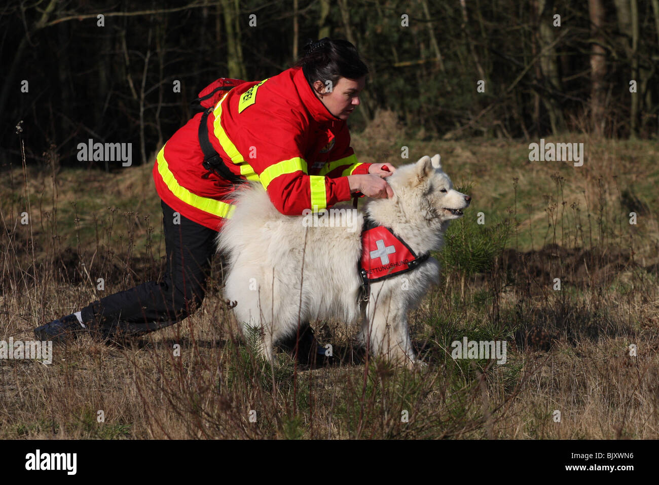 Sled dog rescue hi-res stock photography and images - Alamy