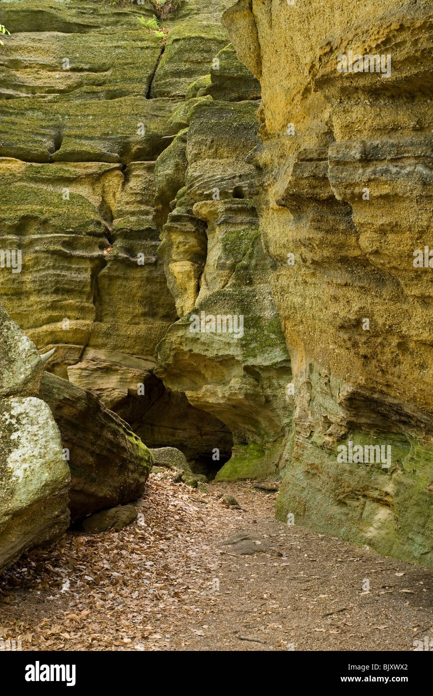 Rock Formations at Nelson Ledges State Park. Near Garrettsville, Ohio ...