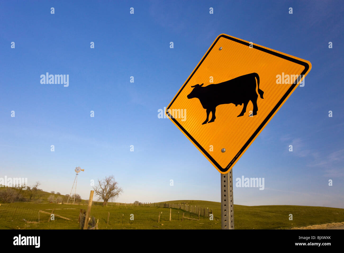 Cattle crossing sign hi-res stock photography and images - Alamy
