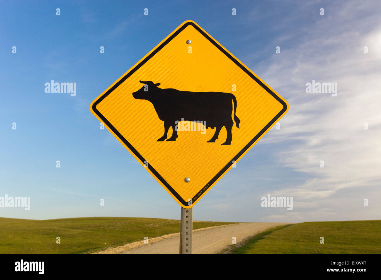 Cattle crossing sign Stock Photo - Alamy