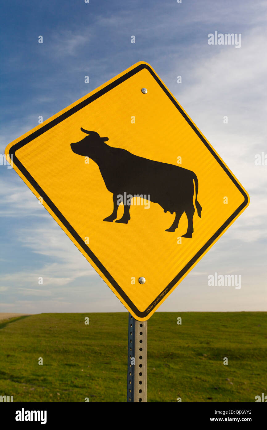 Cattle crossing sign Stock Photo - Alamy