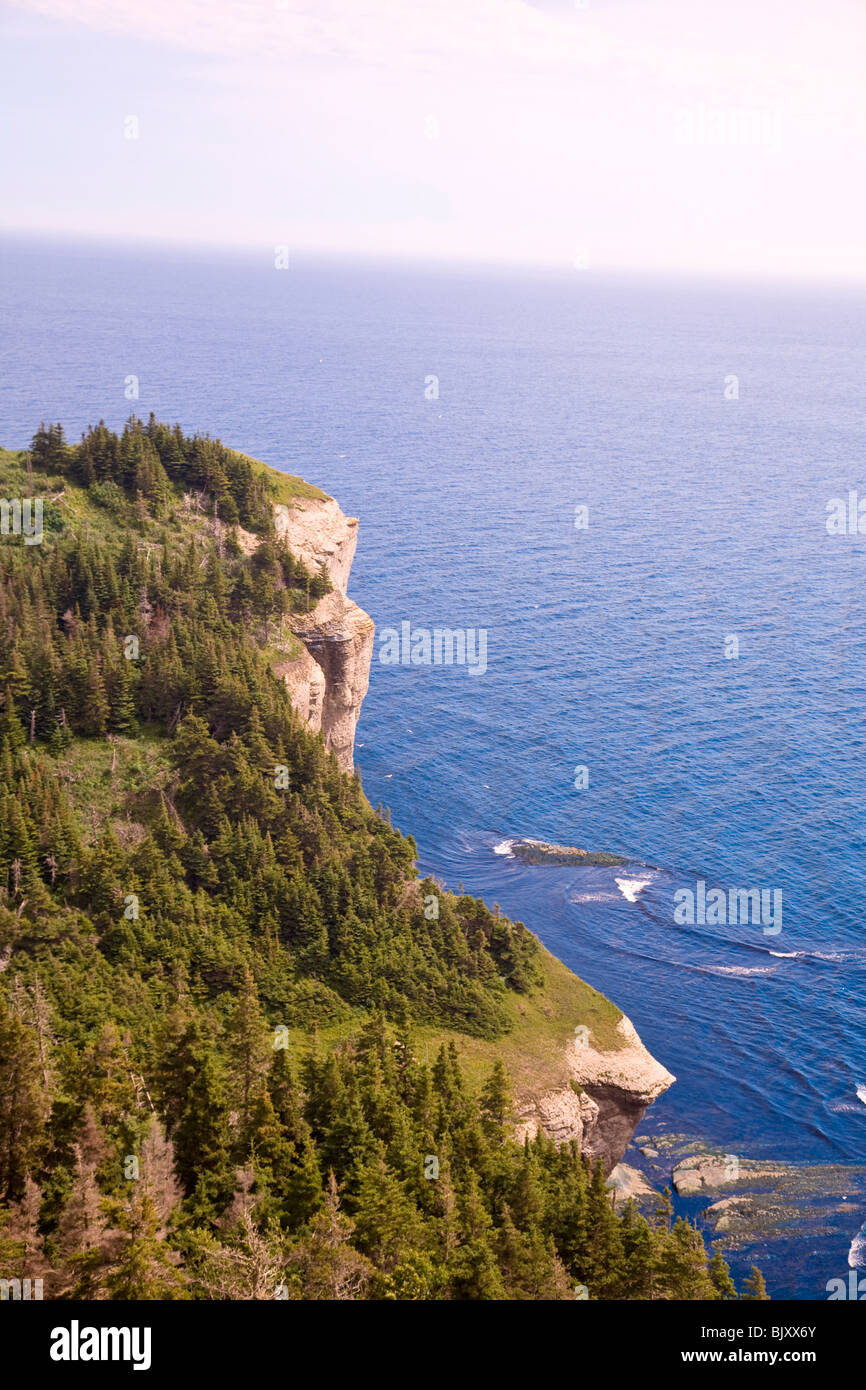 Rugged remote Cap Gaspe Forillion National Park Gaspe Peninsula Quebec ...