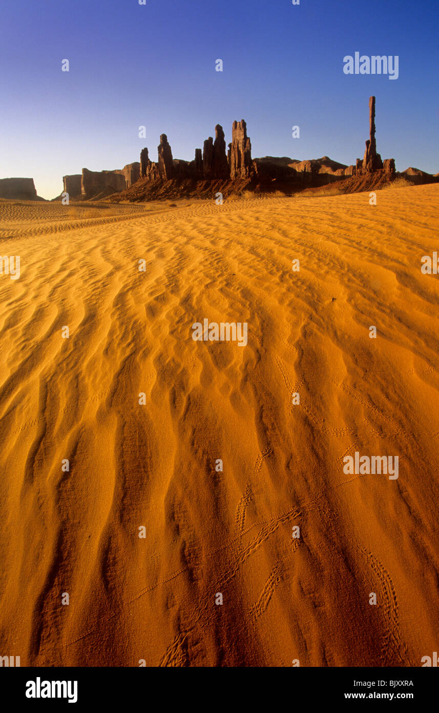 Sand dune patterns with insect tracks and Yei Bi Chei Rocks in back at ...