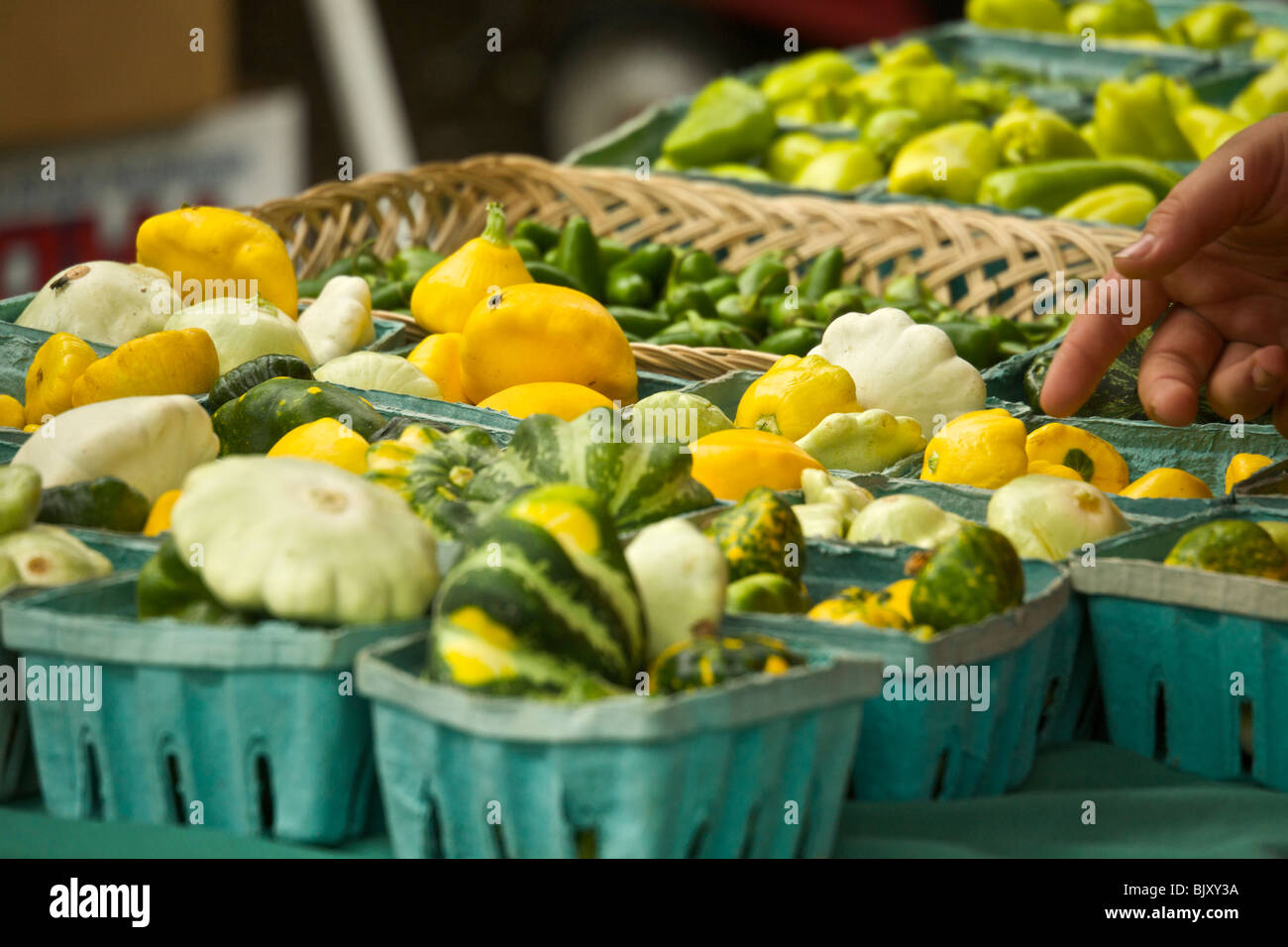Varieties of squash for sale. Chicago's Green City Market Stock Photo ...