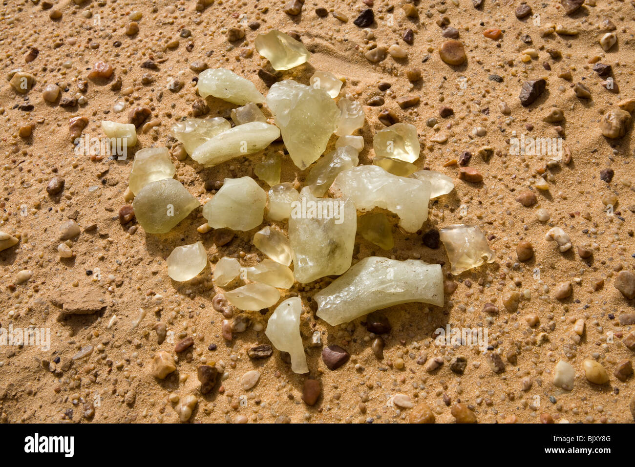 Silica glass fragments on the desert floor in an interdunal corridor of ...