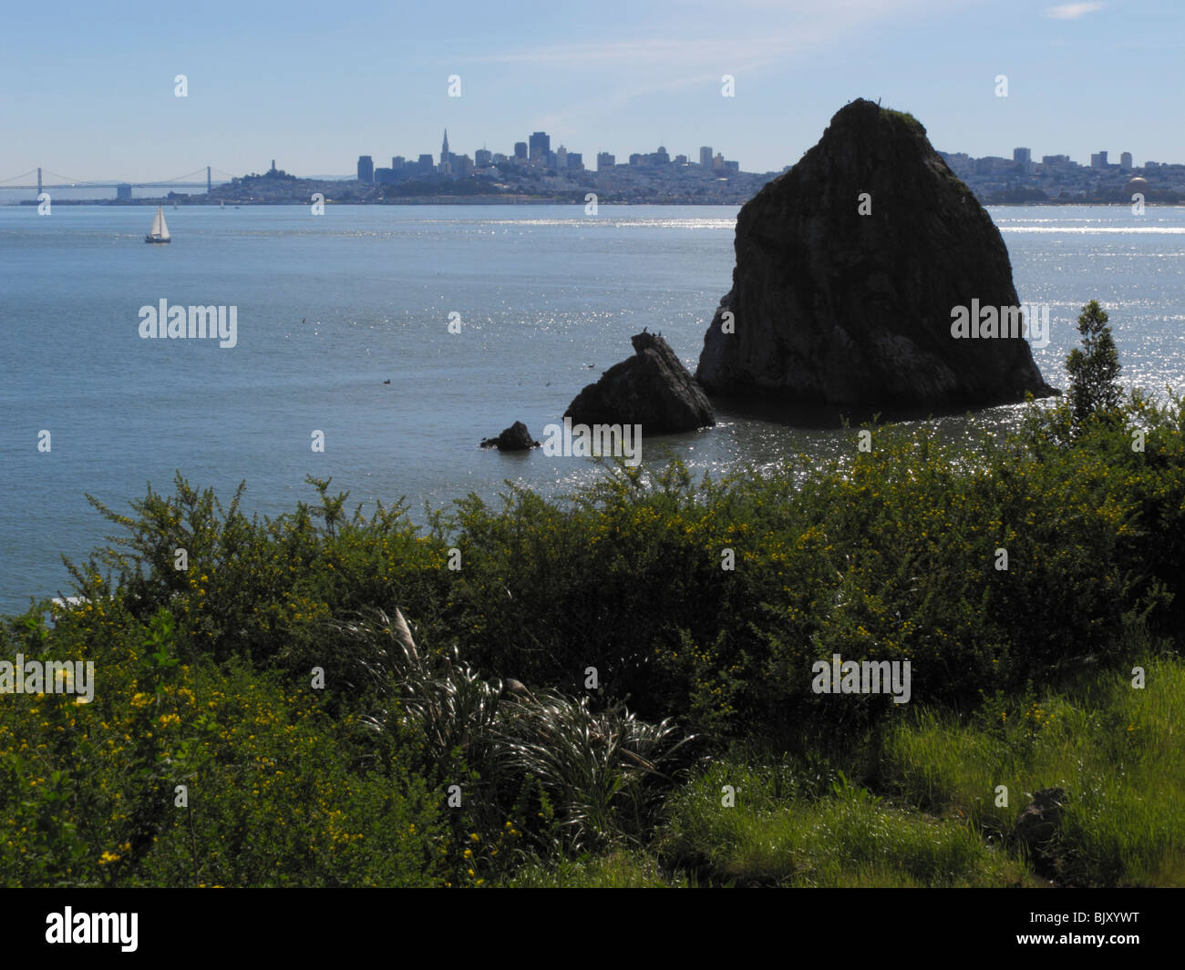 The skyline of San Francisco with The Needles rock formation, Sausalito ...