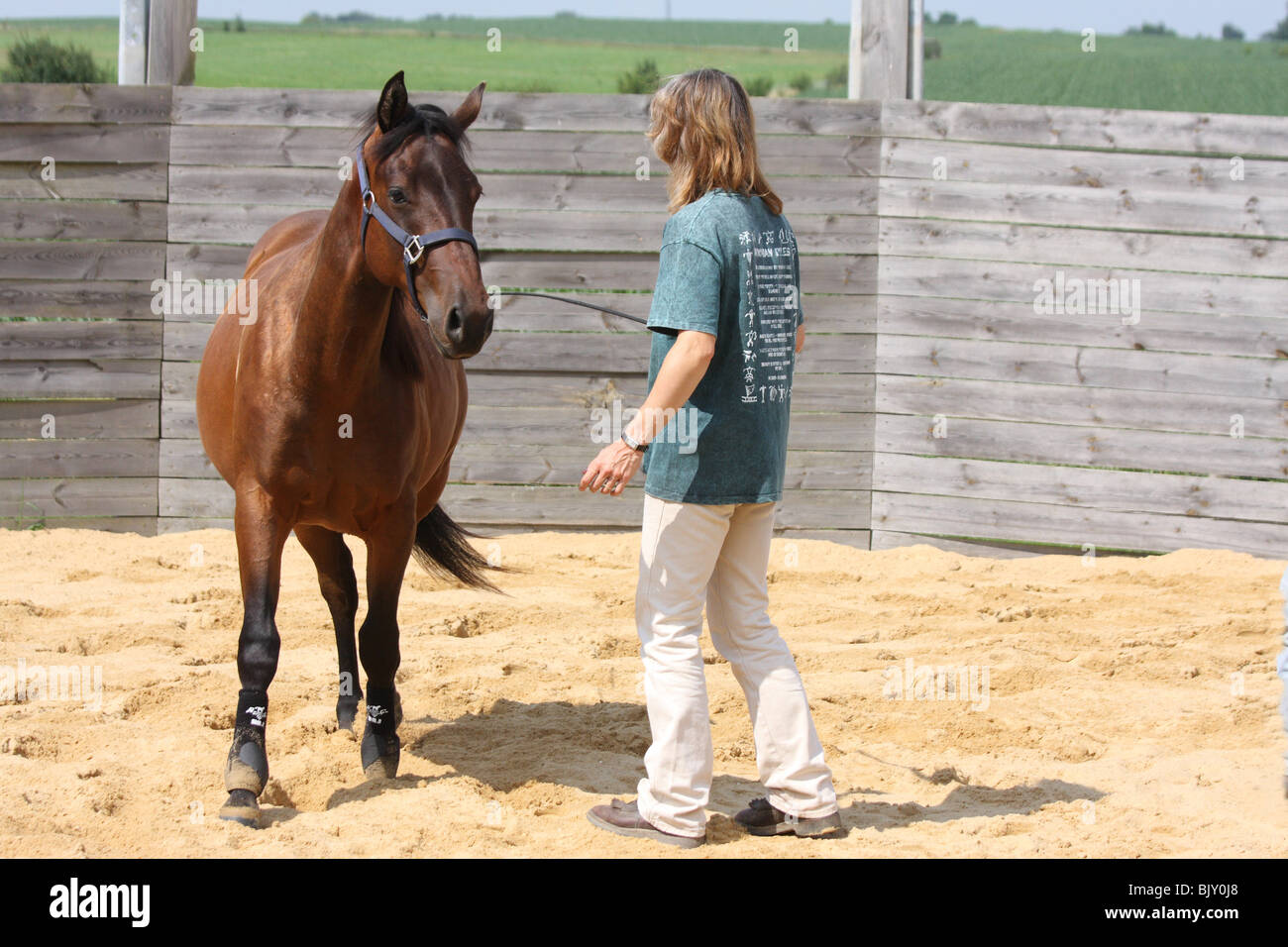 human and quarter horse Stock Photo - Alamy