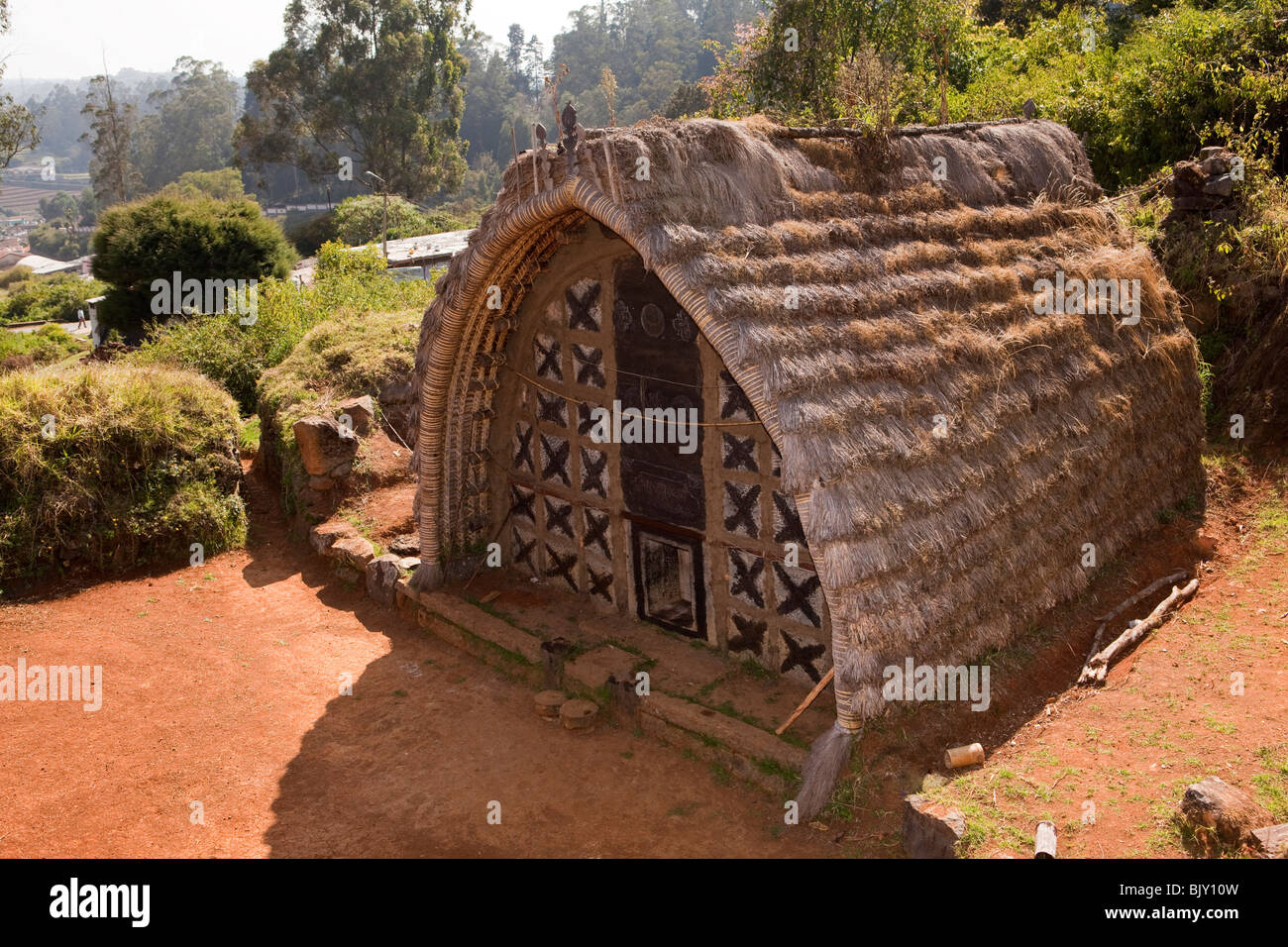 Toda buffalo hi-res stock photography and images - Alamy