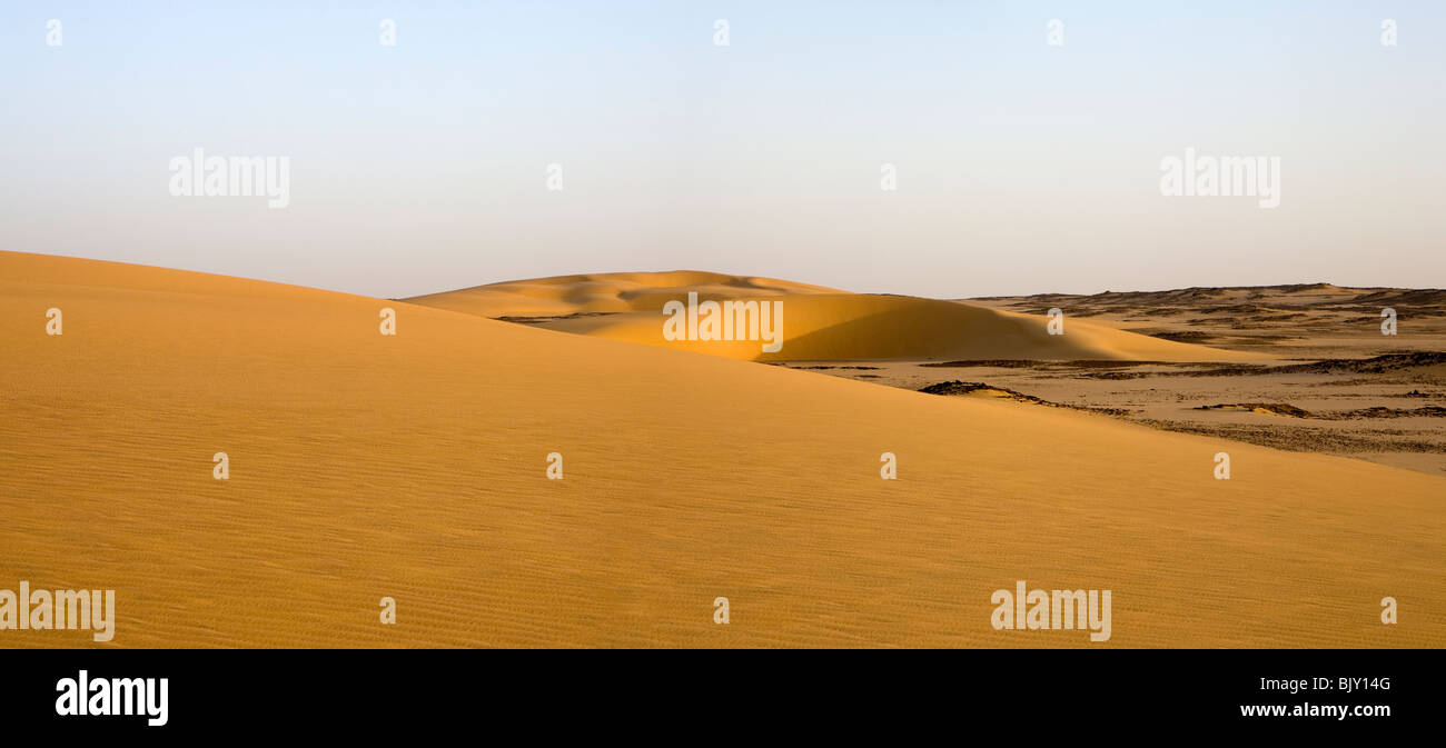 Panoramic shot of Barchan Sand Dunes against a pale blue sky. Gilf ...