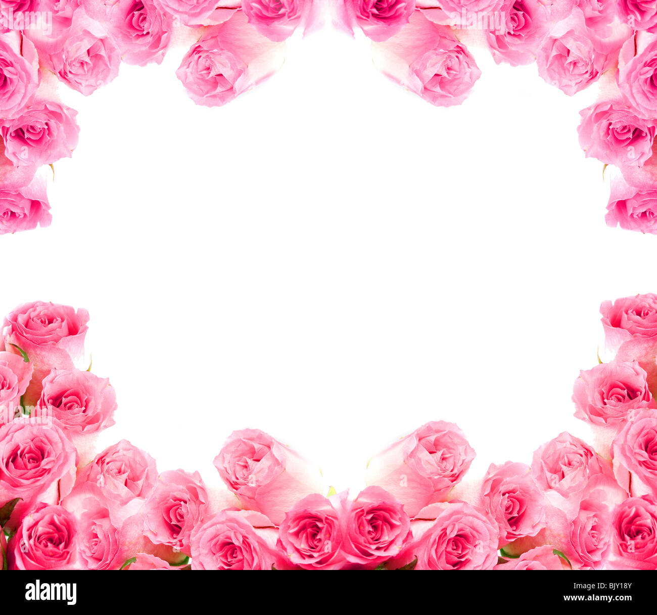 Framework from roses on hi-res stock photography and images - Alamy