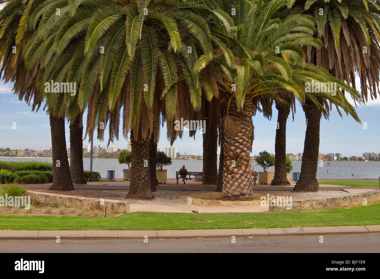 Shady spot in the waterfront park on Riverside Drive, Perth, Western ...