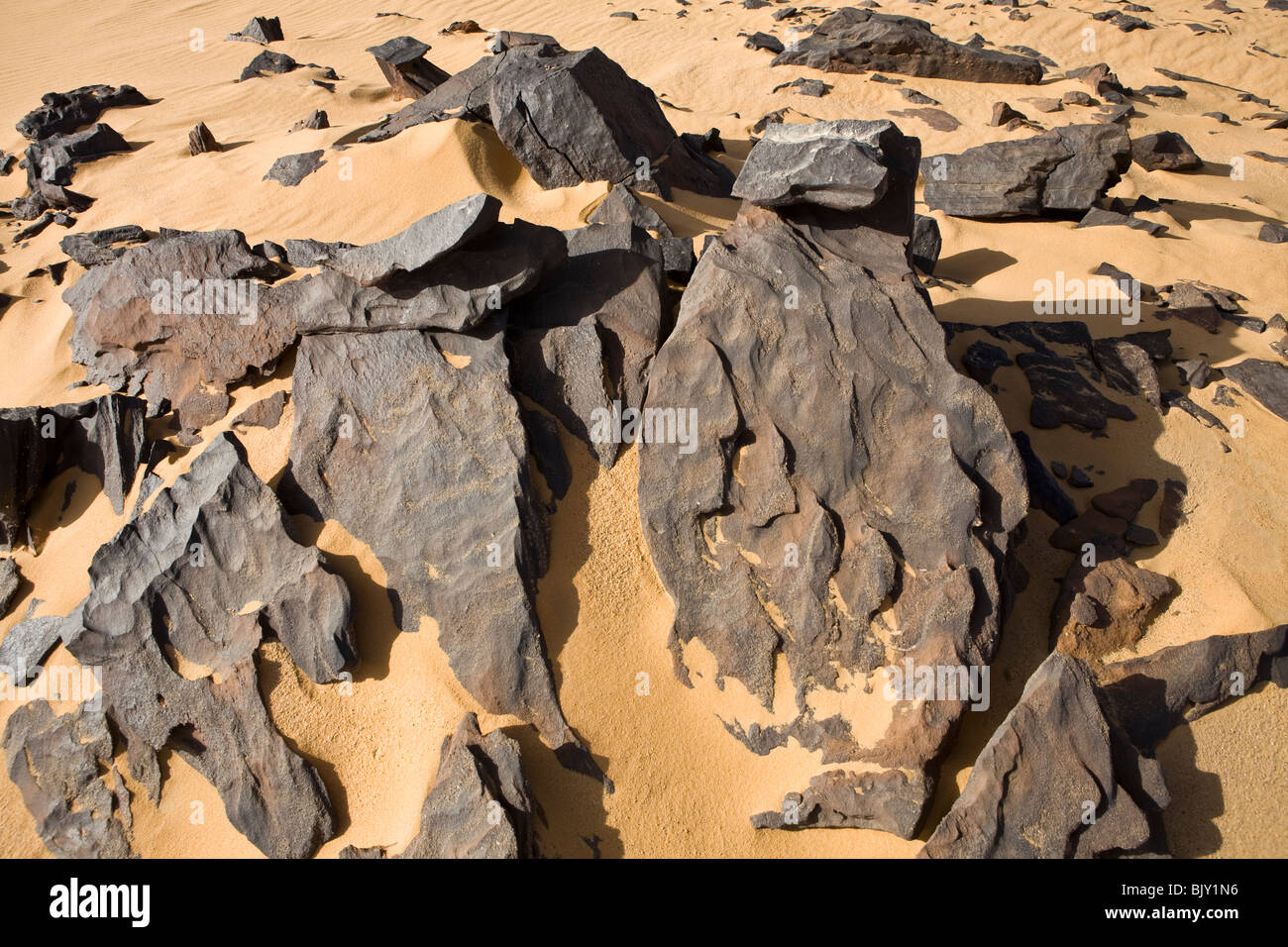 Black rocks in desert floor within the Gilf Kebir National Park ...