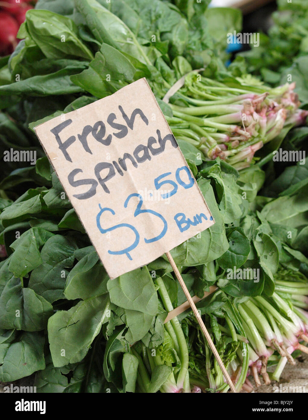 BUNCHES OF FRESH SPINACH ON DISPLAY AND FOR SALE AT THE QUEEN VICTORIA ...