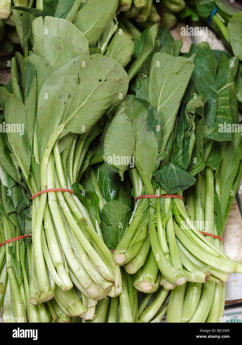 CHINESE MUSTARD ON DISPLAY AND FOR SALE AT THE QUEEN VICTORIA MARKET ...