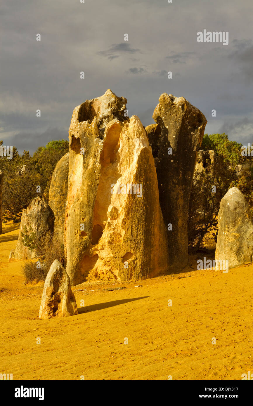 The Pinnacles, Nambung National Park, Western Australia. Mysterious ...