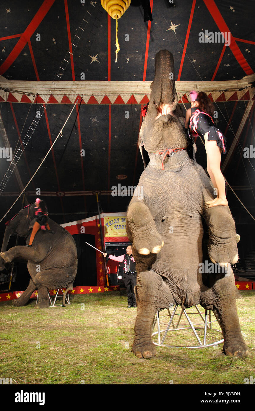 Circus acts hi-res stock photography and images - Alamy