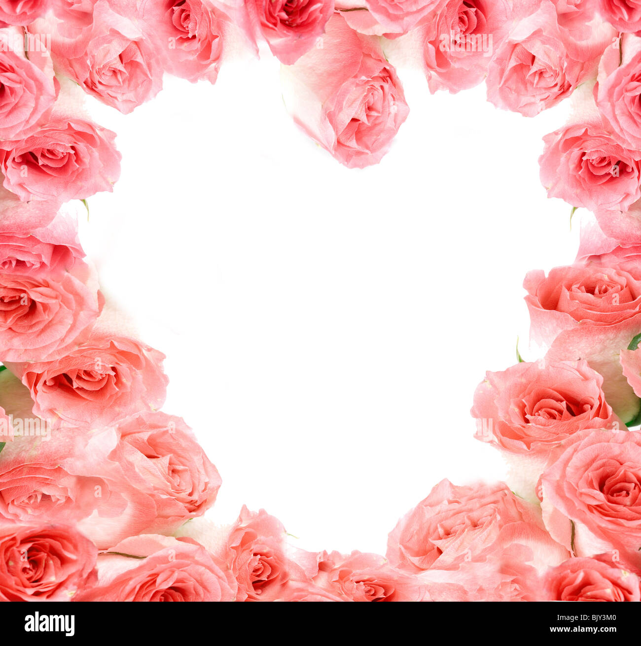 Framework from roses. Isolation on white Stock Photo - Alamy