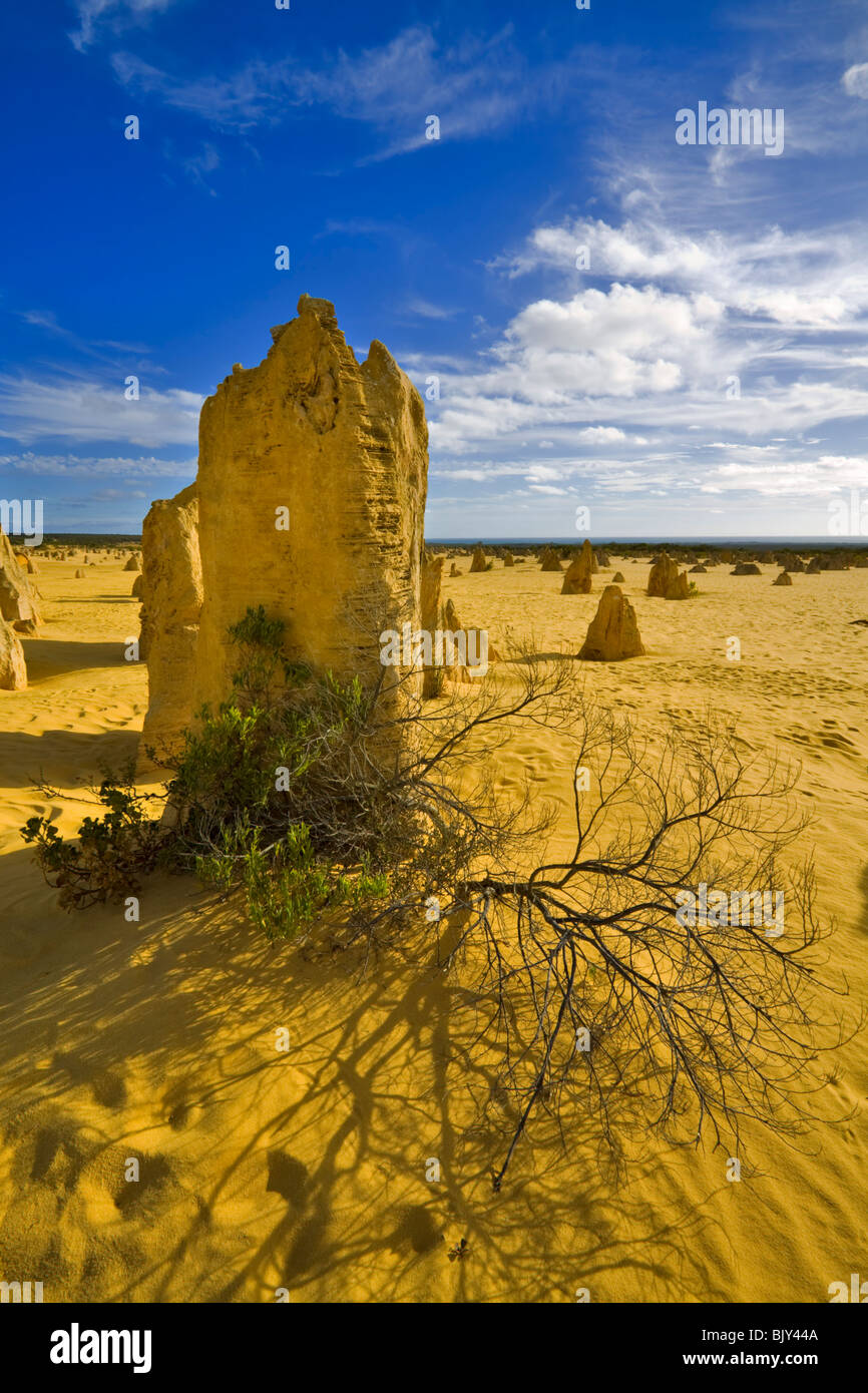 Limestone spires desert rocks hi-res stock photography and images - Alamy